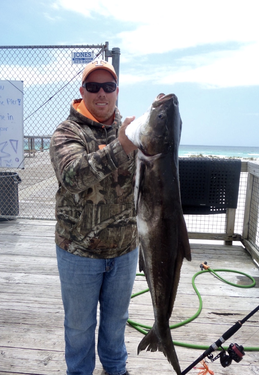 FIRST COBIA CAUGHT OFF PIER • Navarre Newspaper