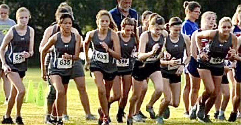 CROSS COUNTRY 2021 • Navarre Newspaper