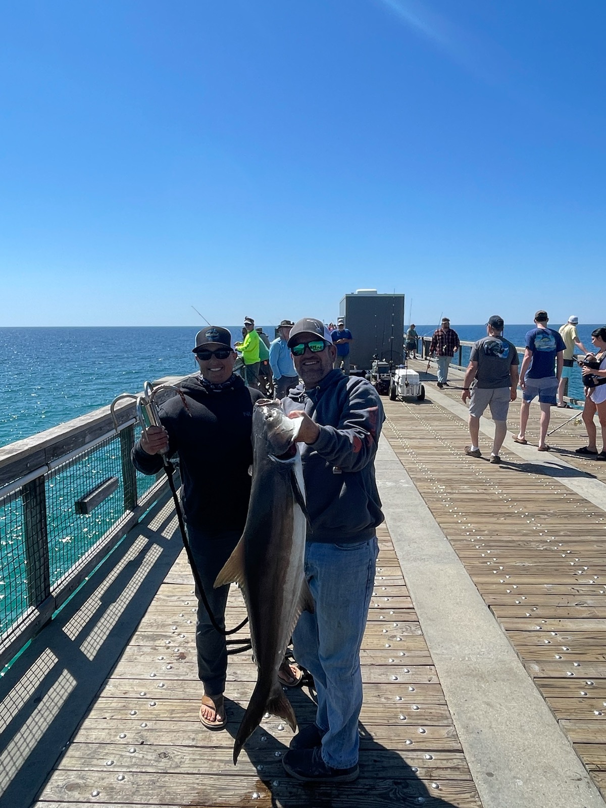 FIRST COBIA OF SEASON CAUGHT ON PIER • Navarre Newspaper