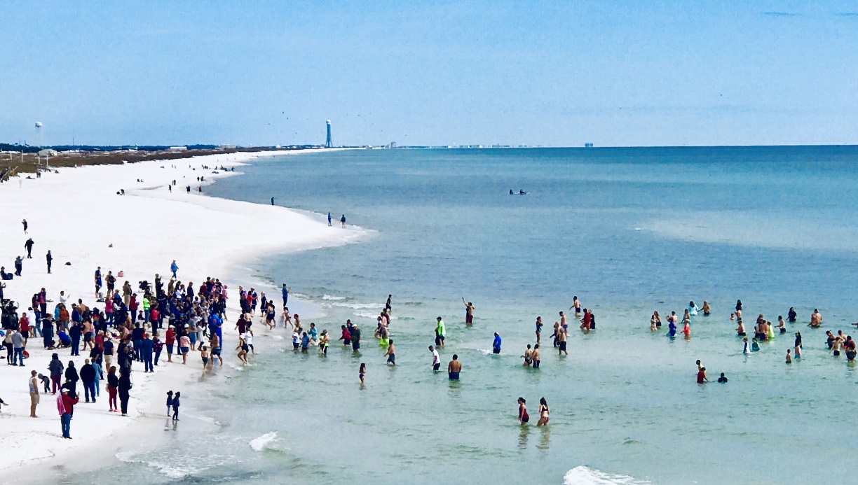 6th Annual Pirate Plunge 2024 • Navarre Newspaper