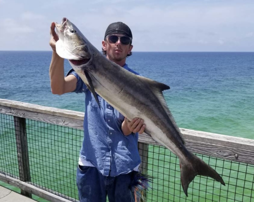 NAVARRE FISHING REPORT MONDAY 5-5-25 • Navarre Newspaper